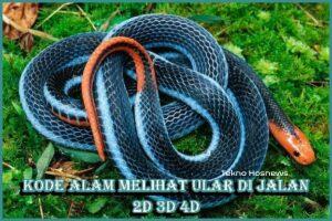 40+ Kode Alam Ular Masuk Rumah & Erek Erek 2D 3D 4D Terbaru